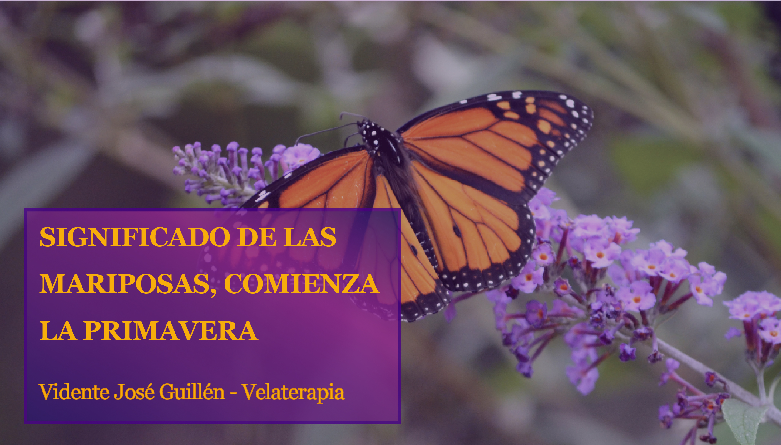 Significado de las mariposas, comienza la primavera - José Guillén